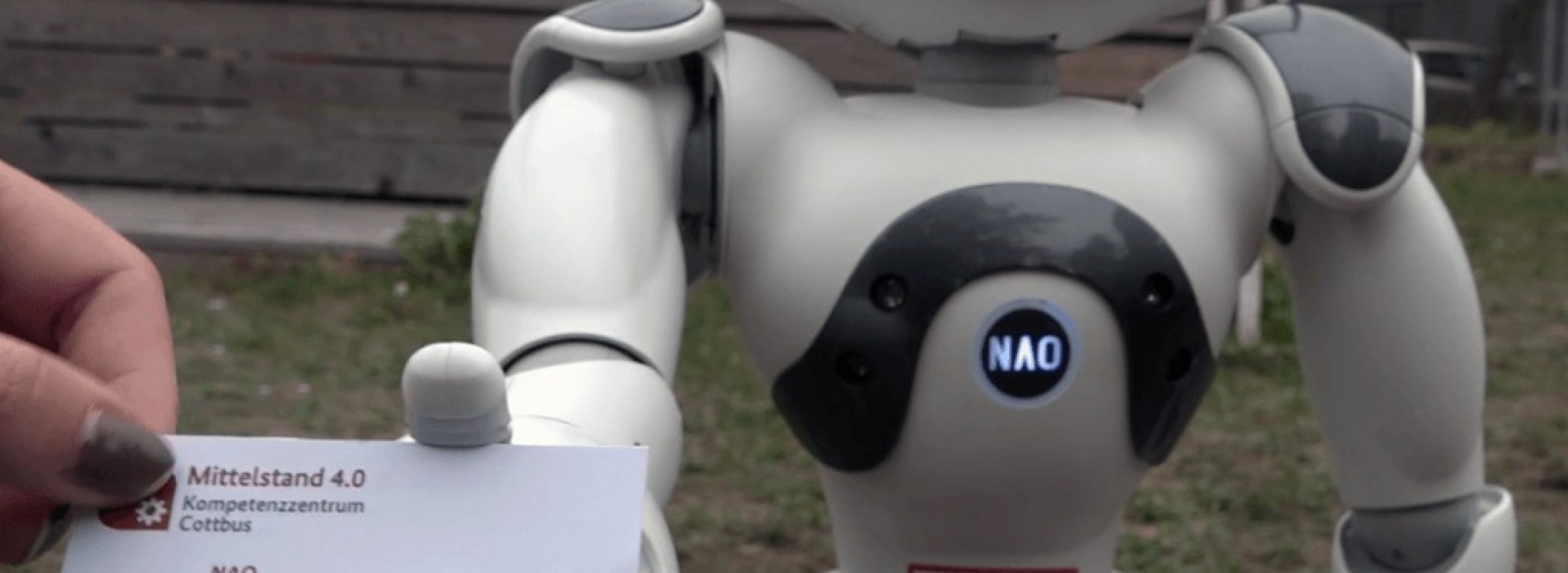NAO - Ein humanoider Roboter | Demonstratoren-Management